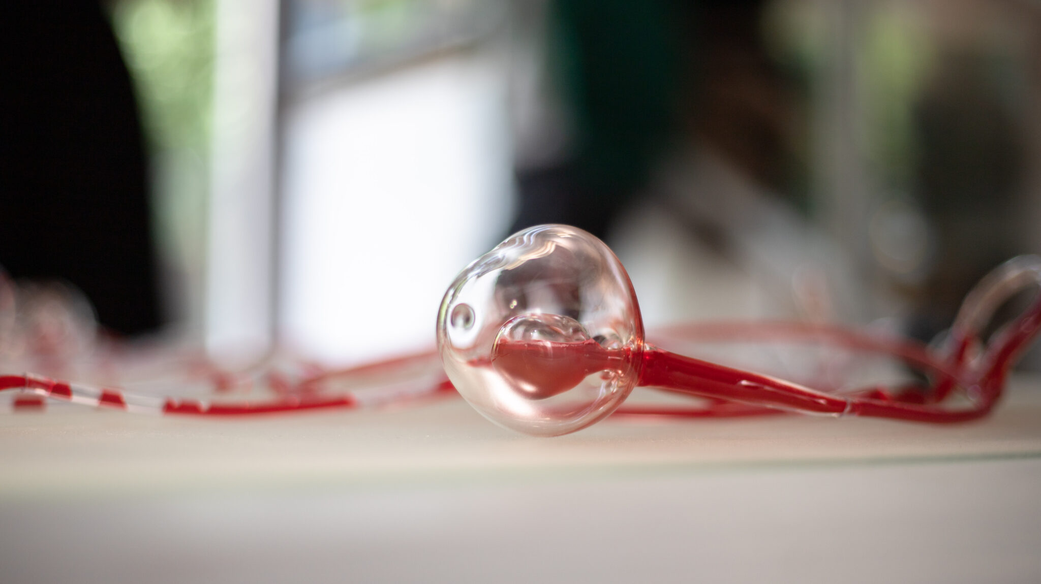 Retour sur la première année de formation des créateurs verriers du ...