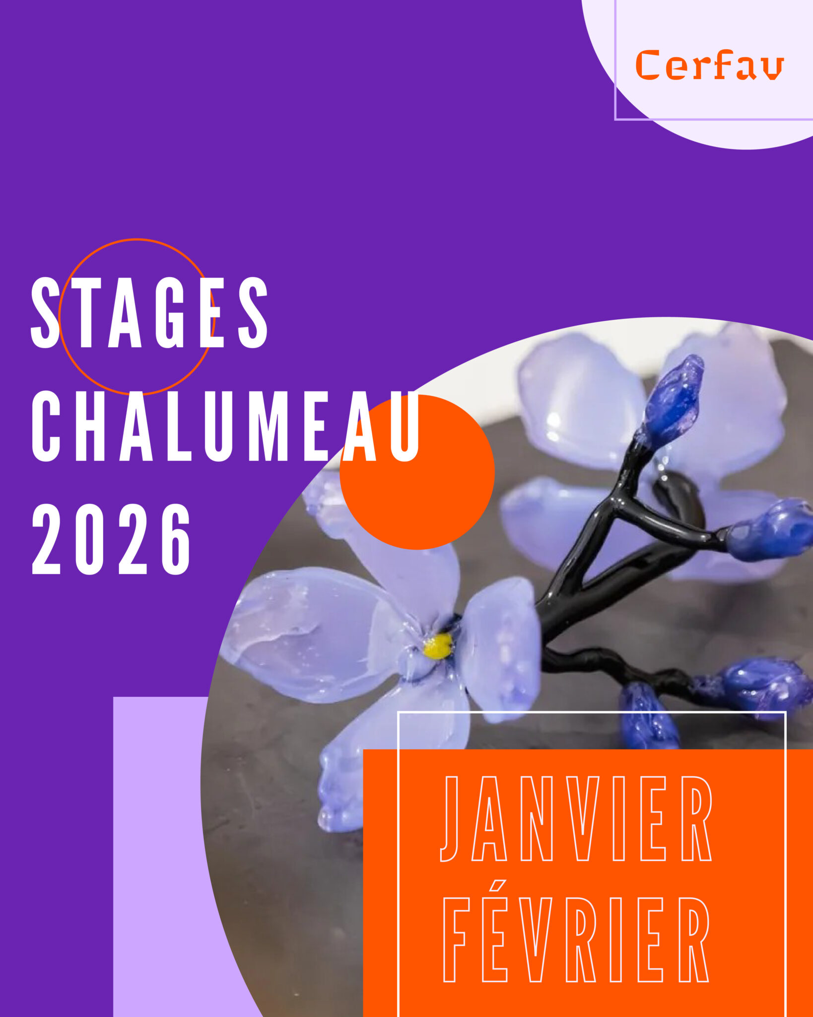Accueil Formation - Cerfav
